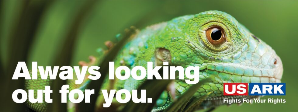 Mission Statement | USARK - United States Association of Reptile Keepers